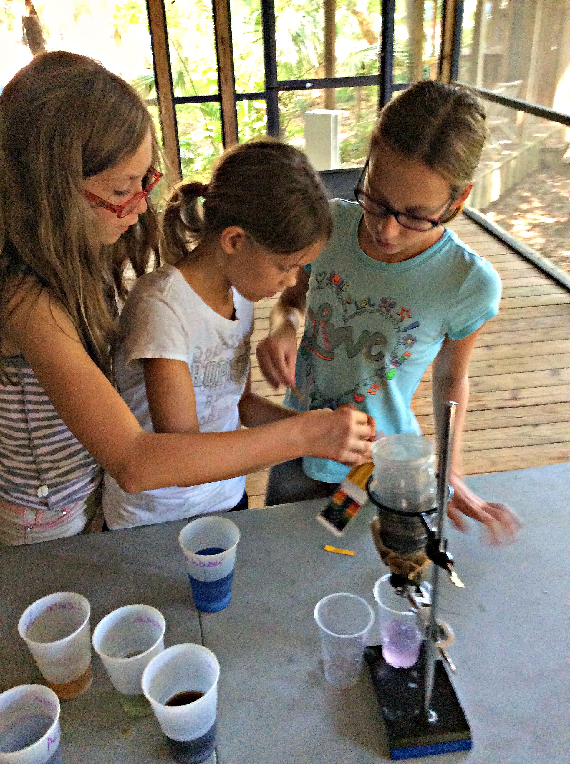 A Strong Finish for Farm Camp | Sweetwater Organic Farm