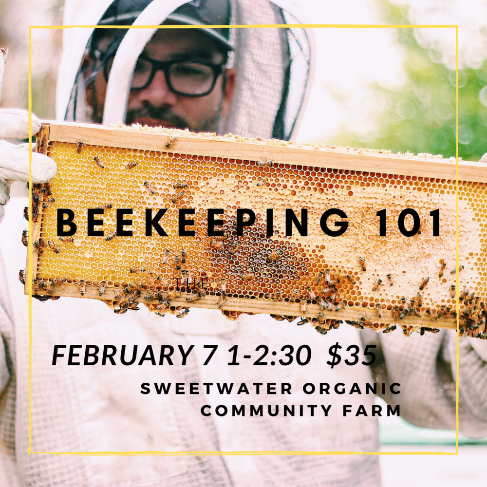 Beekeeping 101 | Sweetwater Organic Farm