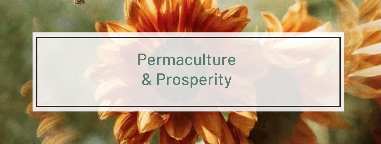 Permaculture & Prosperity: Cultivating True Wealth and Financial ...