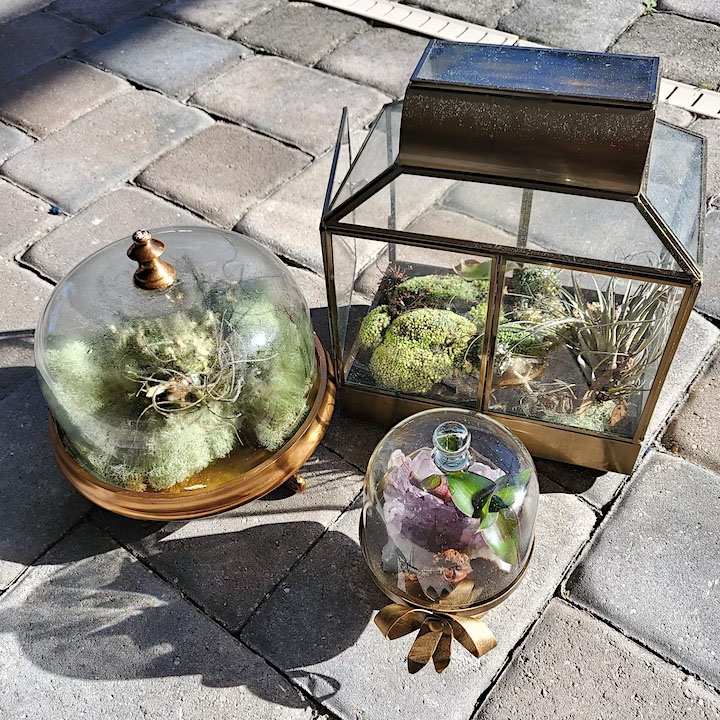 Terrarium Take Home Class | Sweetwater Organic Farm