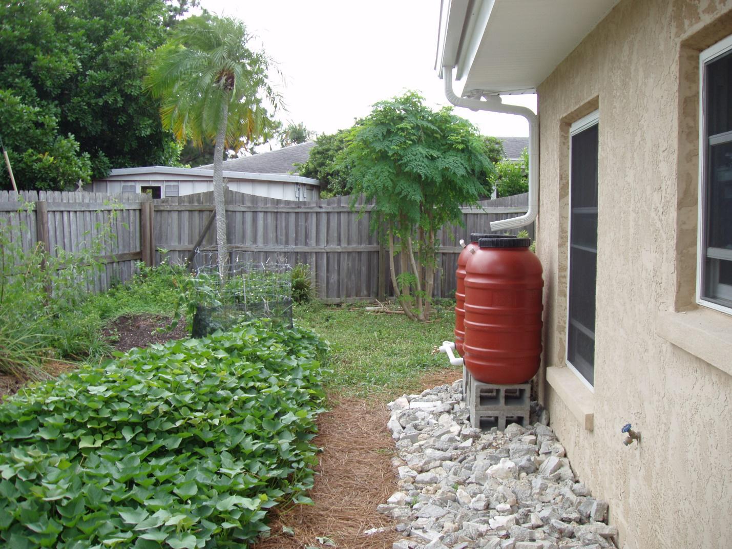 Designing A Rainwater Collection System for Your House | Sweetwater ...
